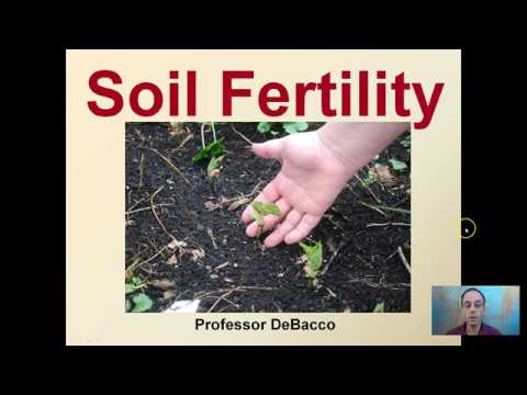Soil Fertility Youtube