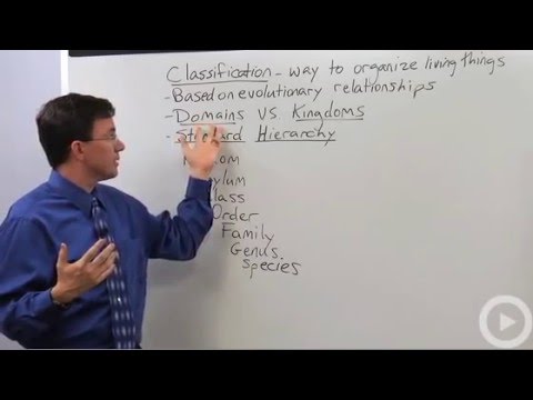 Classification Overview Youtube