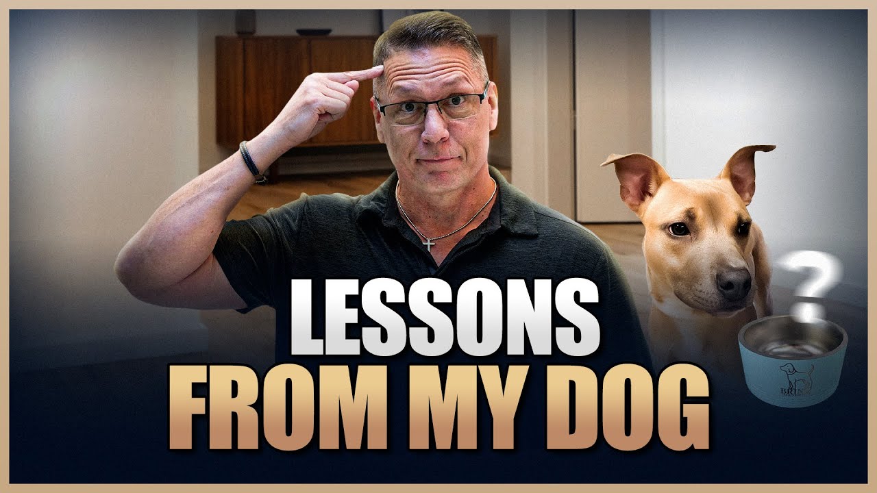 Some Life Lessons From My Dog Youtube