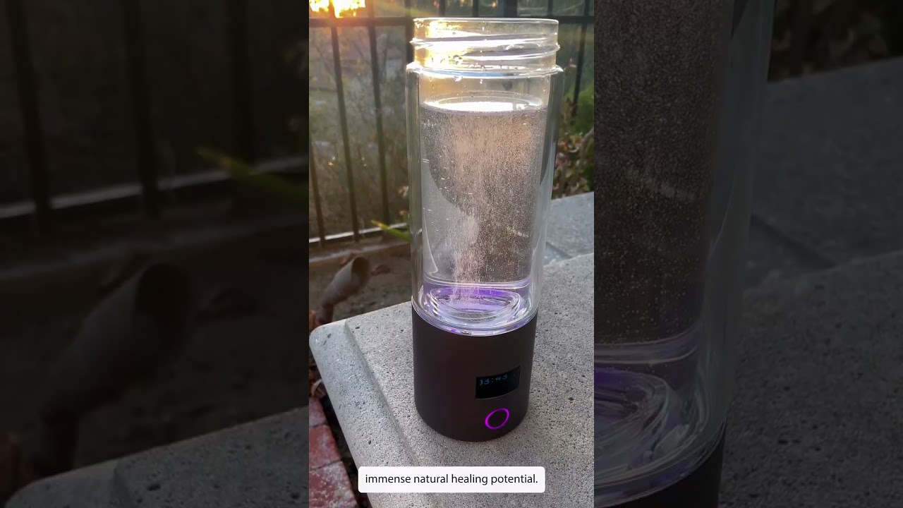 Python H2 Bionic Molecular Hydrogen Water Bottle Python H2 Bionic