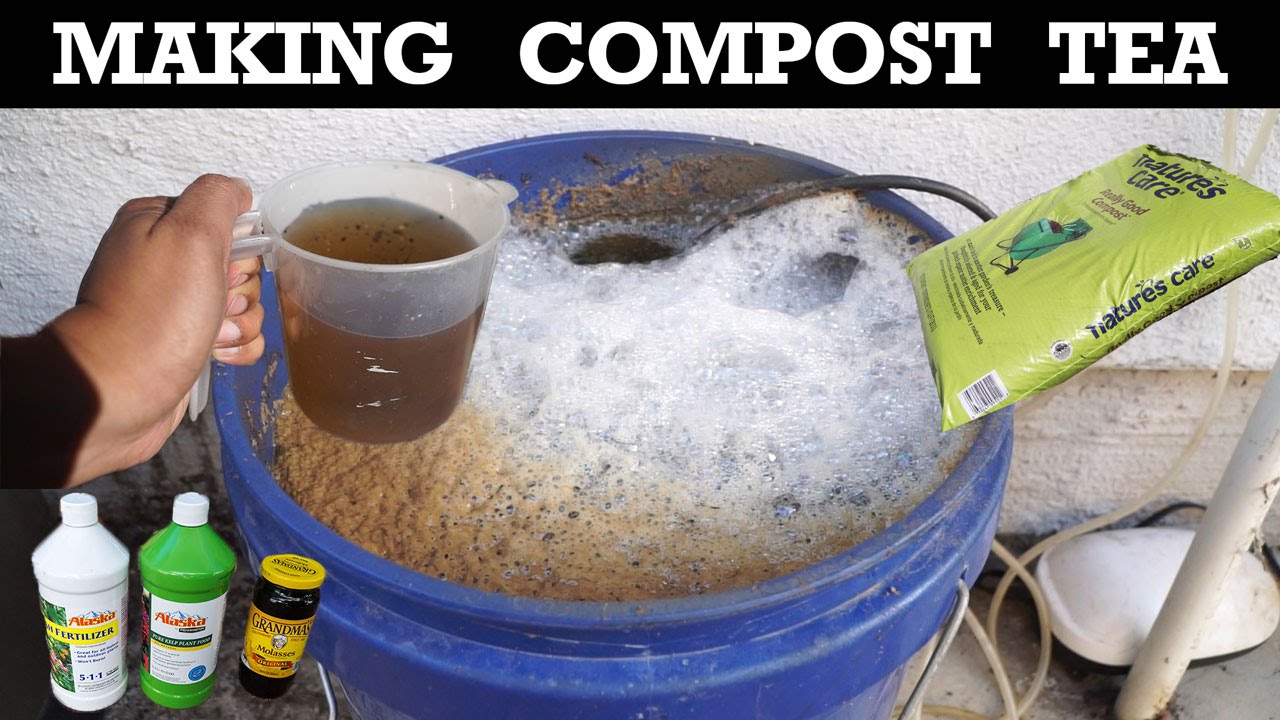 Compost Tea Recipe For Flowering Plants Besto Blog