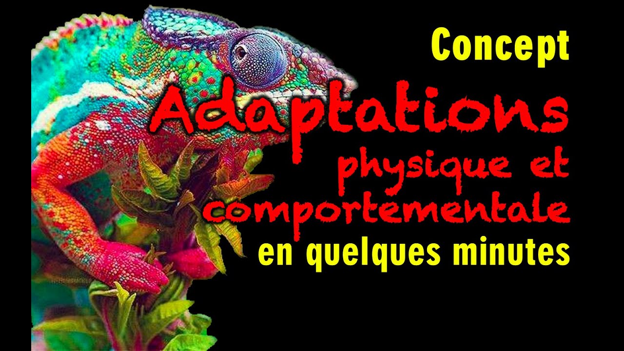120 Adaptations Physiques Et Comportementale Youtube