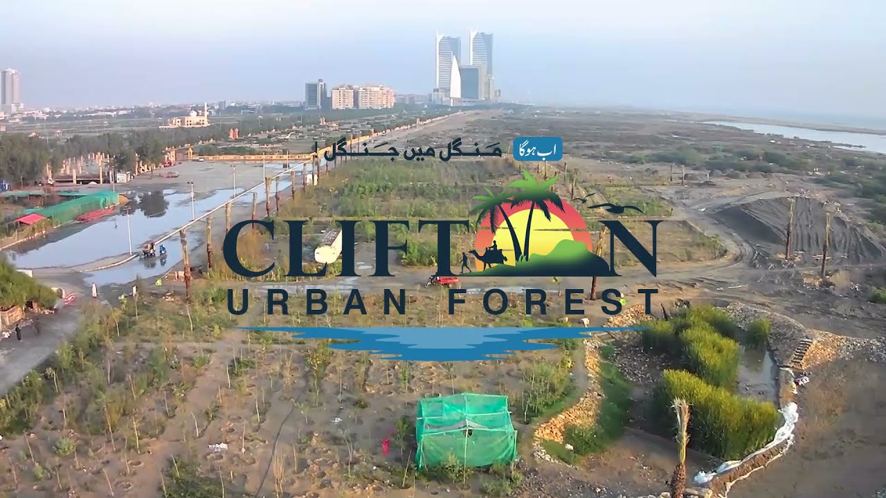 Ecosystem Restoration At Clifton Urban Forest Youtube