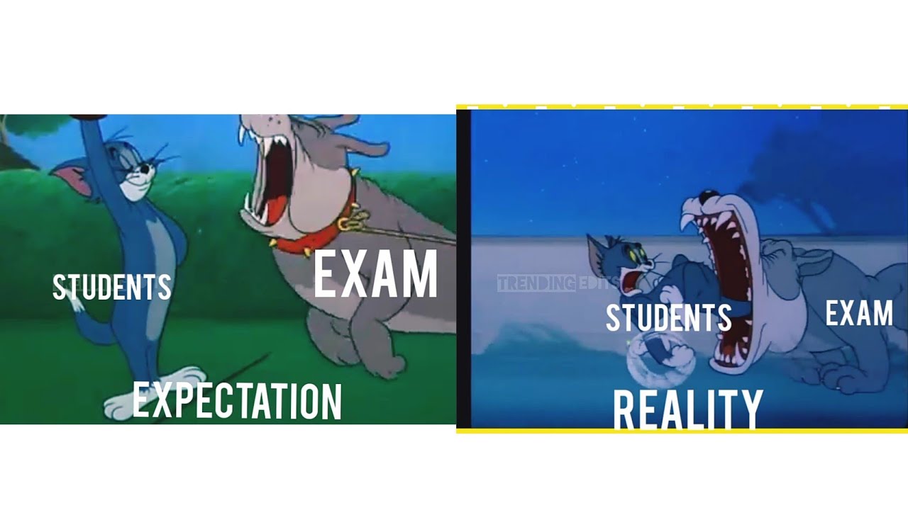 Expectation Vs Reality Students Vs Exam Memes Youtube