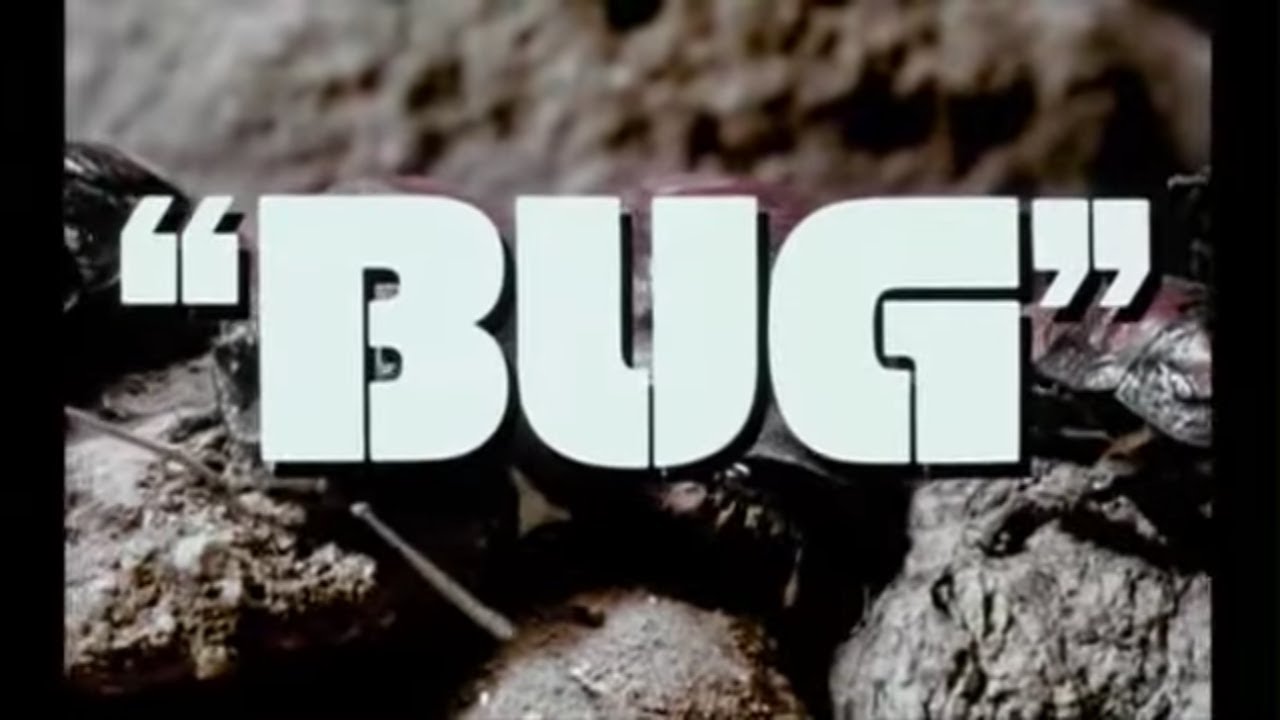 Bug Trailer Youtube
