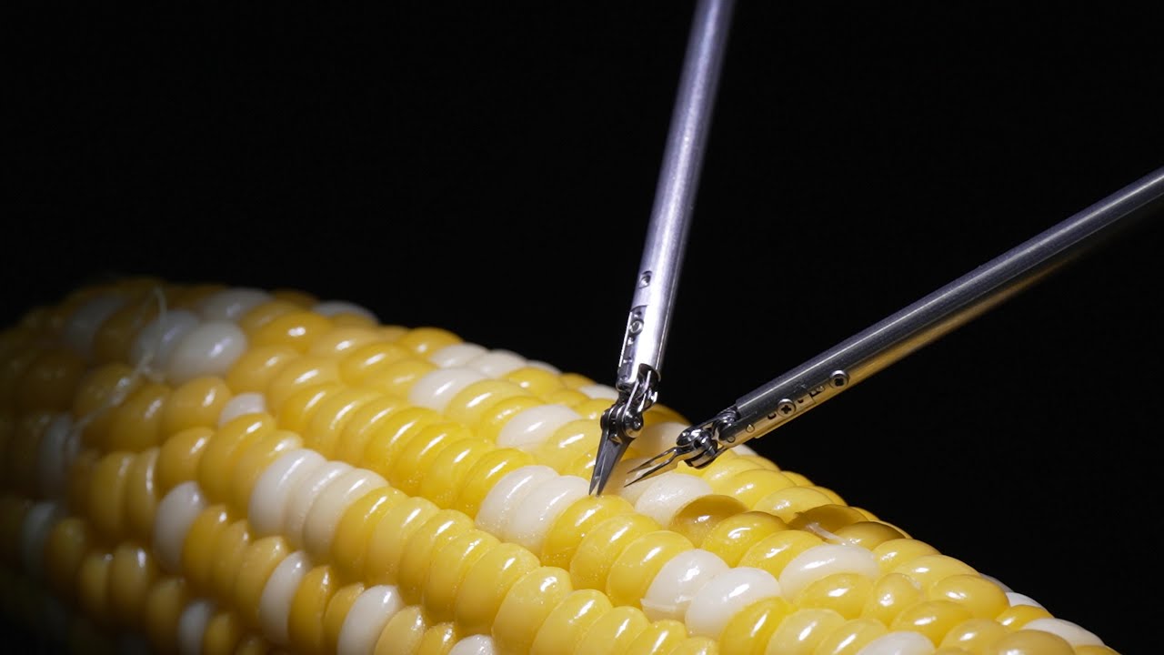 Robot Performs Microsurgery On A Corn Kernel