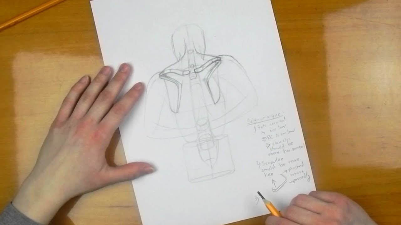 How I Study Anatomy Youtube