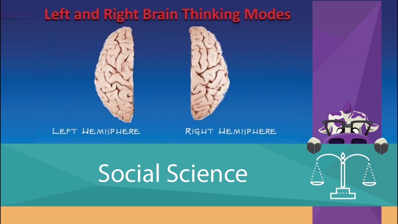 Left And Right Brain Thinking Modes Youtube