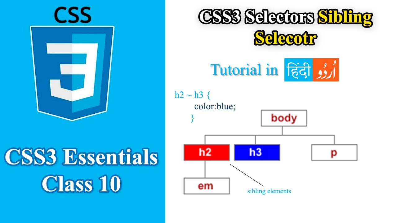 Css3 Tutorial For Beginners In Hindi Urdu How To Use Css3 Selectors