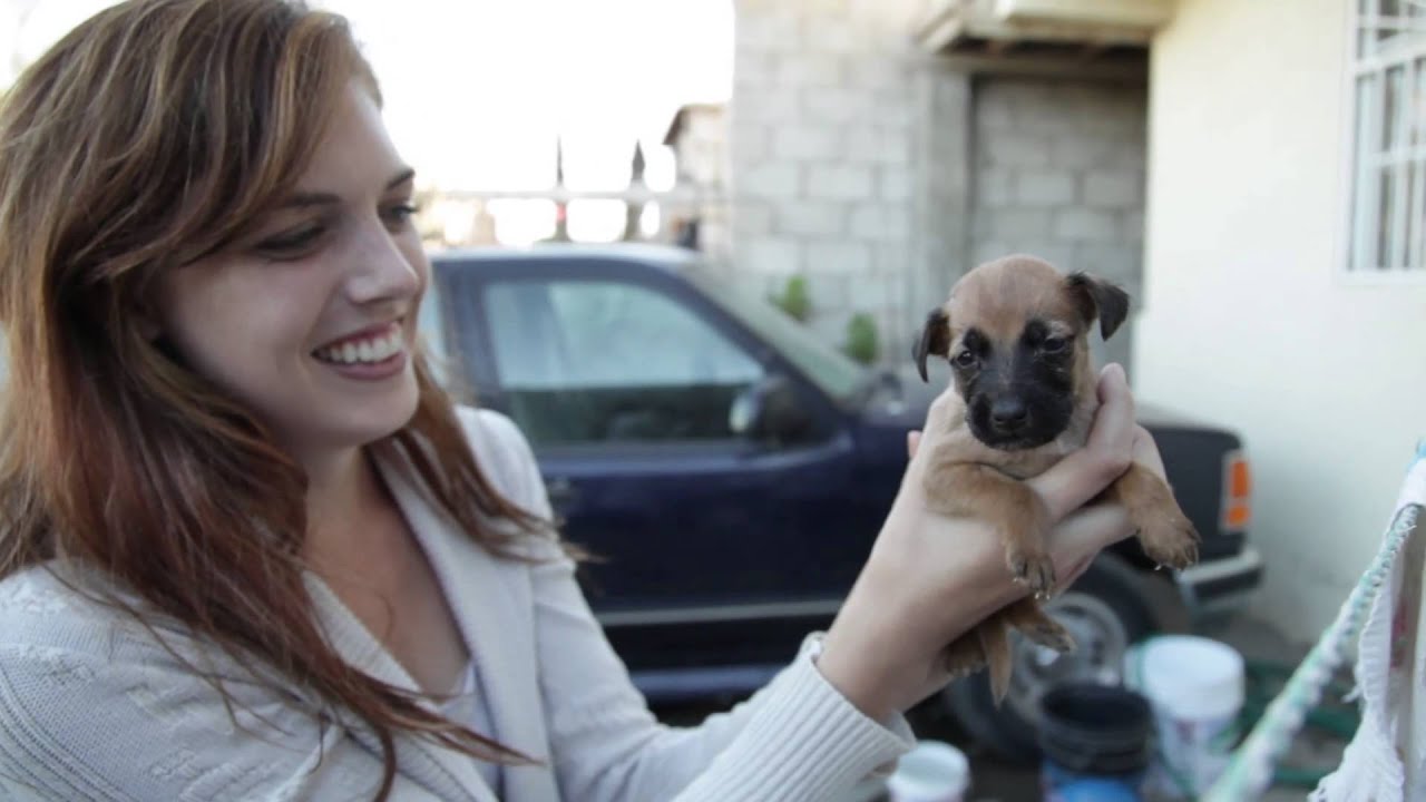 Mexico Rescue Mission 2 Recycled Dog Rescue Youtube