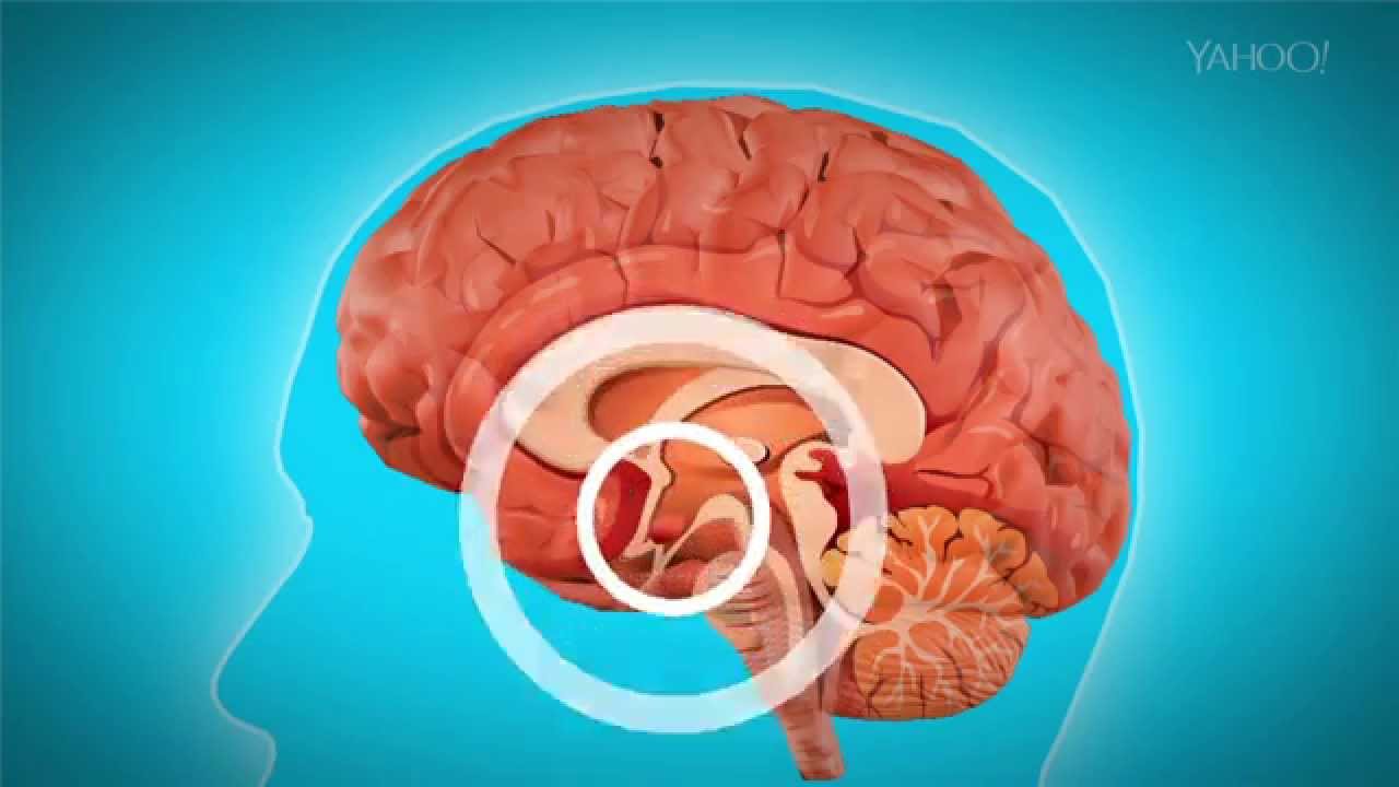 Health Detective Why Do Humans Cry Youtube