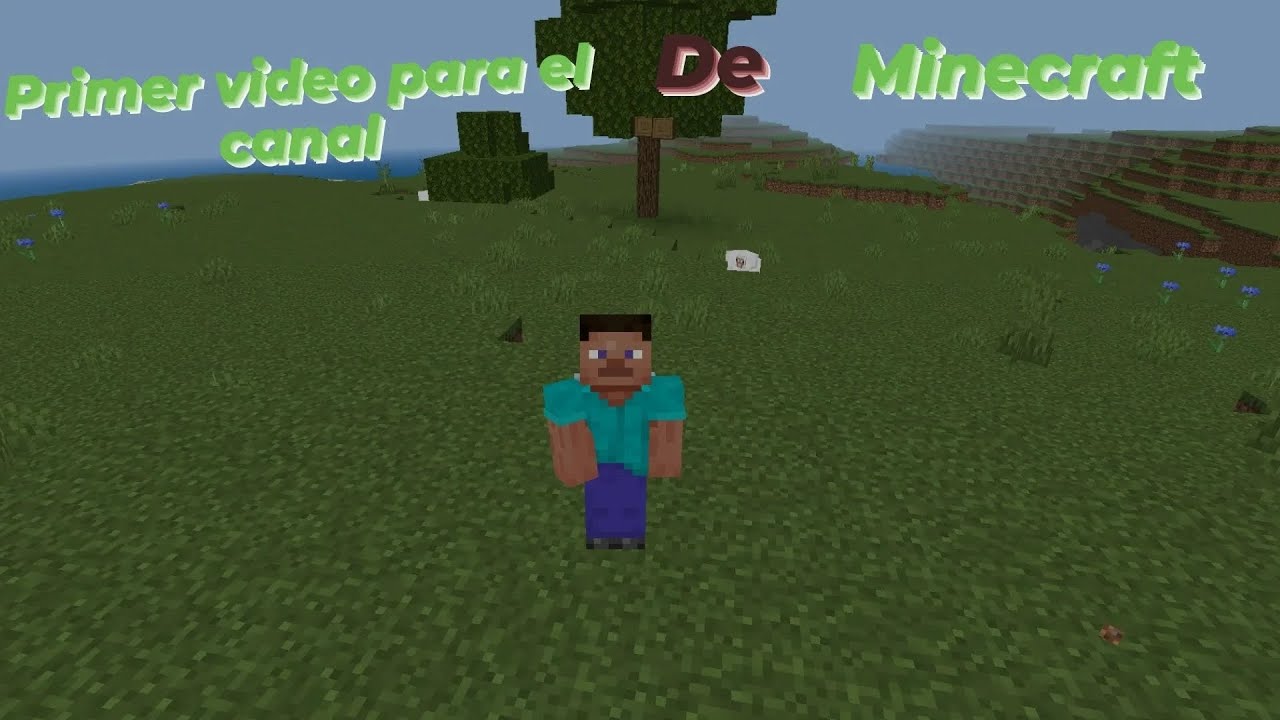 Primer Capitulo De Minecraft 10 Youtube