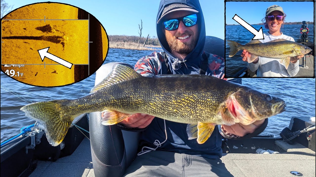 Walleyes Almost Every Cast Fishing A Flowage System Youtube