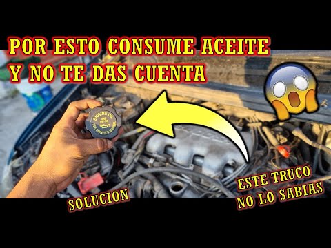 Por Qué Mi Coche Consume Aceite Pero No Echa Humo Causas Y Soluciones