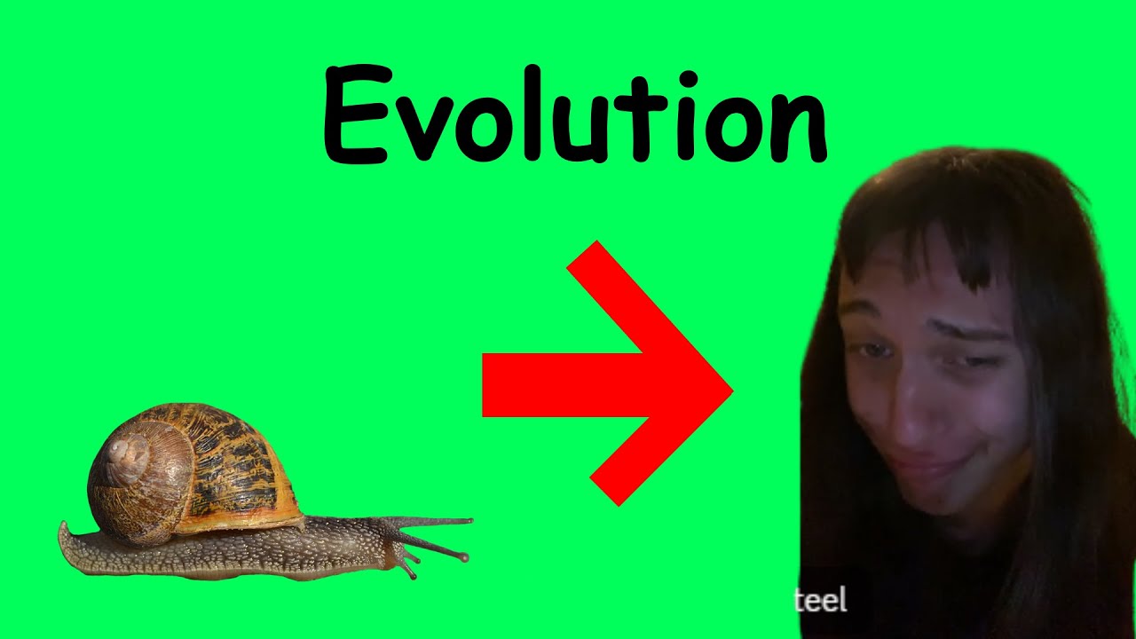 Evolution Youtube