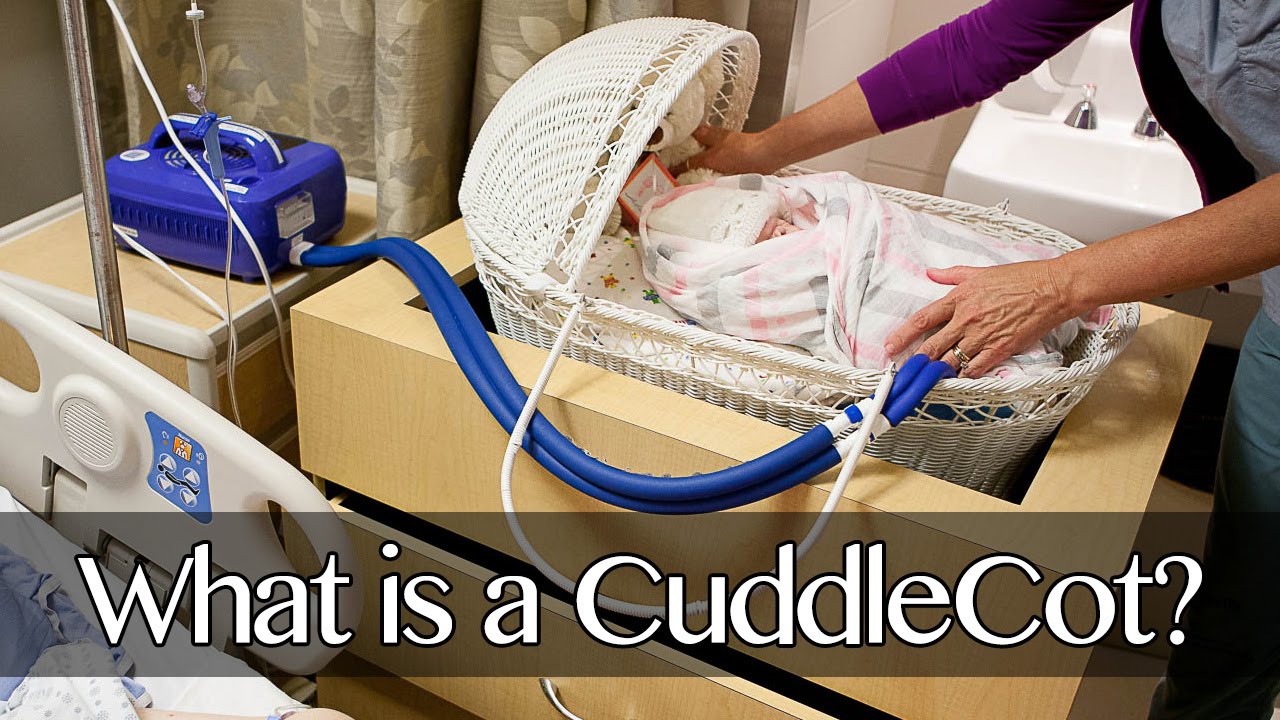 How Does Cuddle Cot Work At Elvira Pierce Blog