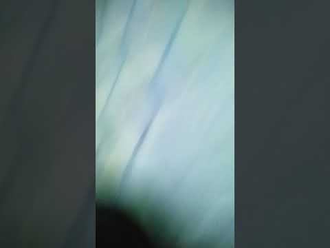 P Lllll Llllllllllllllllllllllllllllllllll Youtube