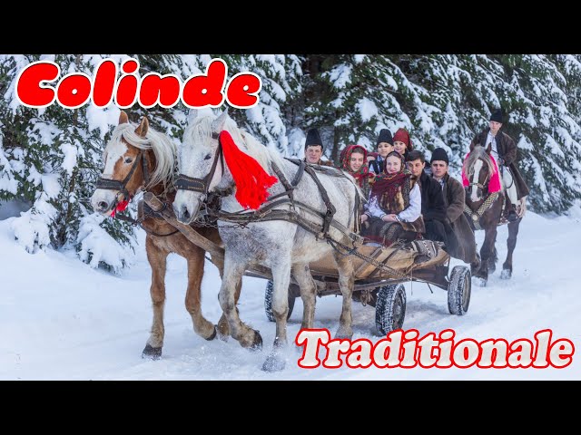 Colinde frumoase din Ardeal - Coborat-a coborat 2023
