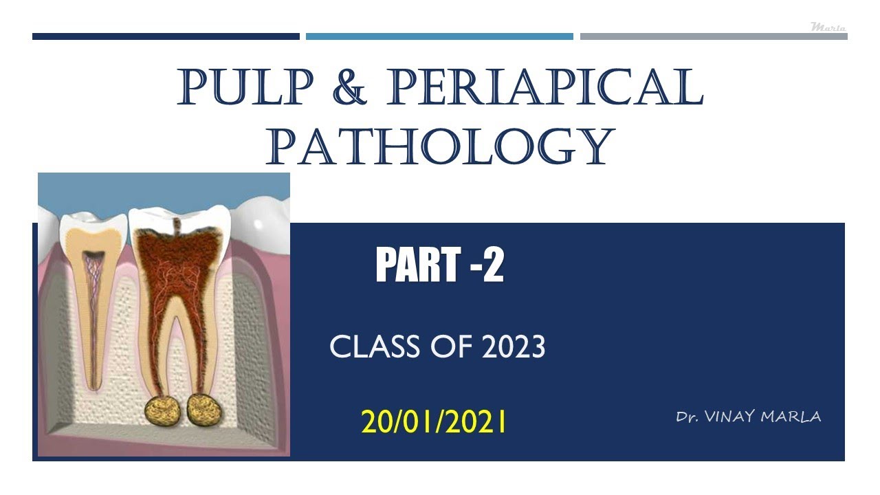 Pulp Periapical Pathology 2 Youtube