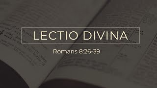 Lectio Divina Romans 8 On Sale Www Simpleplanning Net