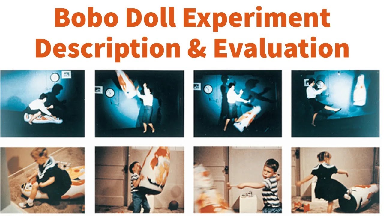 Albert Bandura Bobo Doll Bandura S 4 Principles Of Social Learning