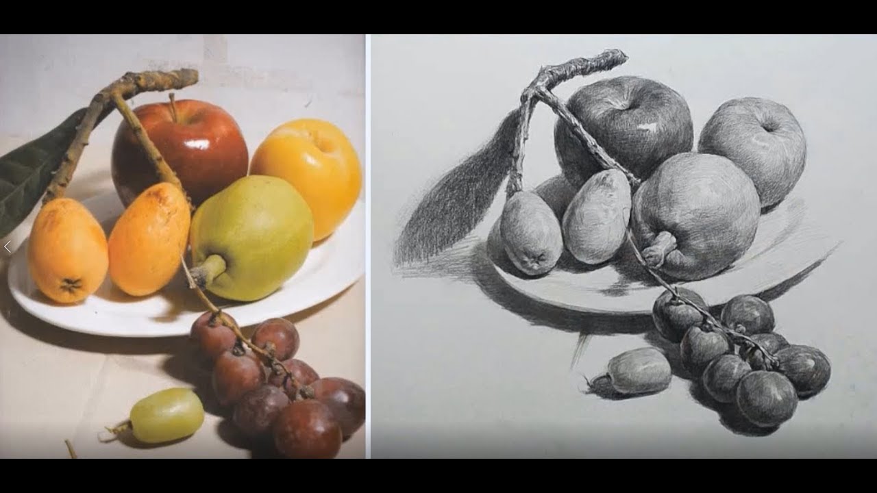 Pencil Fruit Still Life Drawing