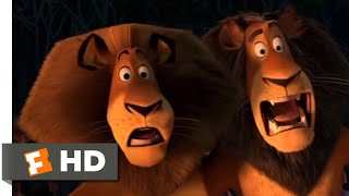 Madagascar Escape 2 Africa The Lion Dance Fandango Family Rotten ...