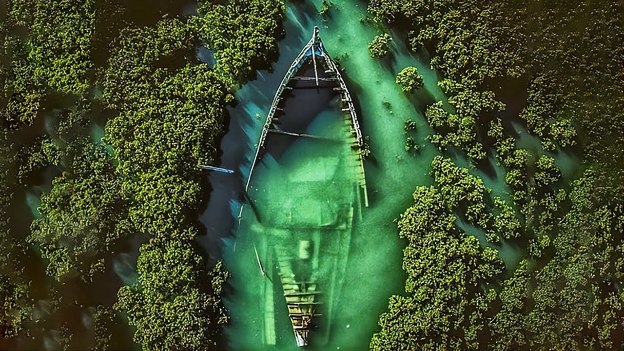 12 Most Incredible Unexpected Treasures Found Recently Simply Amazing