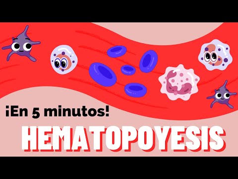 Hematopoyesis En 5 Minutos Transcript Chat And Summary With Ai