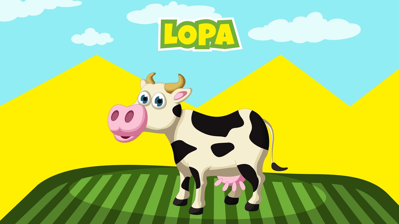 Kafshet Shtepiake Youtube