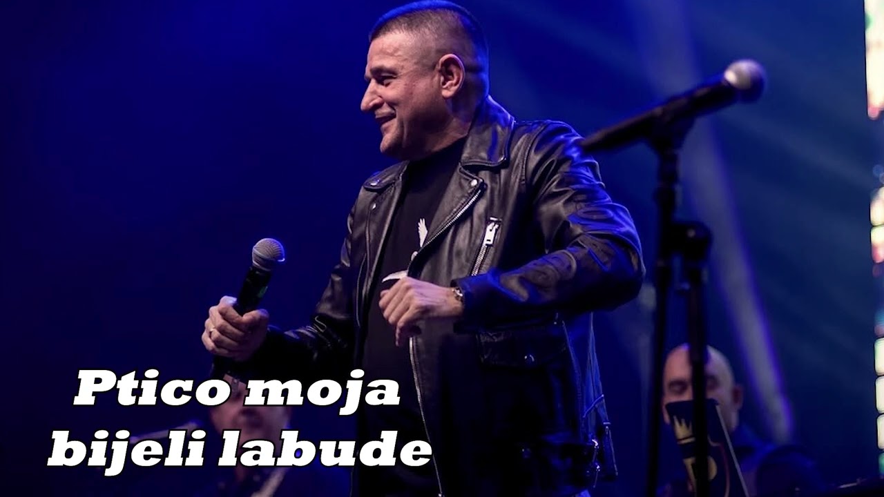 Baja Mali Knindza Ptico Moja Bijeli Labude Backa Palanka Uzivo