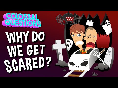 Why Do We Get Scared Colossal Questions Safe Videos For Kids