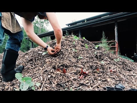 Gardening A Compost Pile Youtube