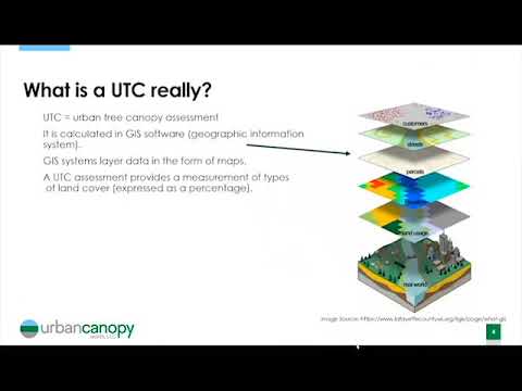 Urban Tree Canopy Assessments Youtube