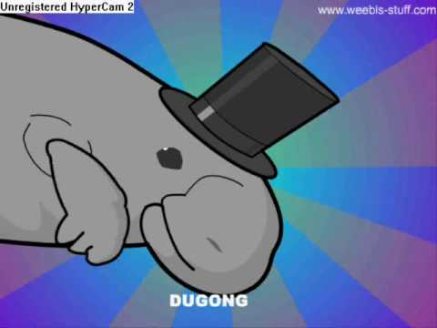 Dugong Weebl S Stuff Youtube