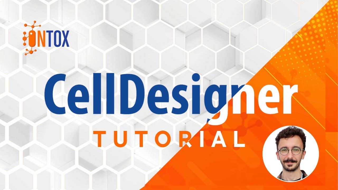 Celldesigner Tutorial Youtube