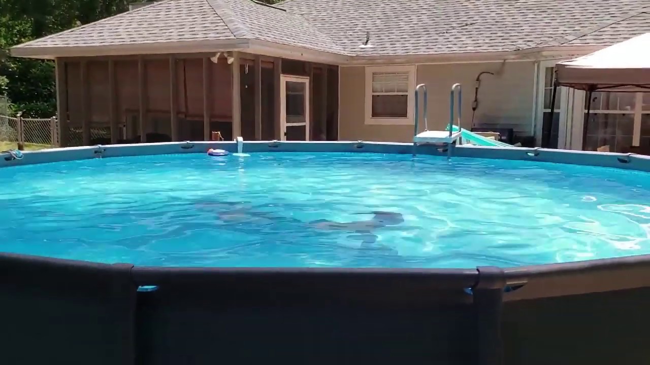 Intex Ultra Frame Pool Reviews