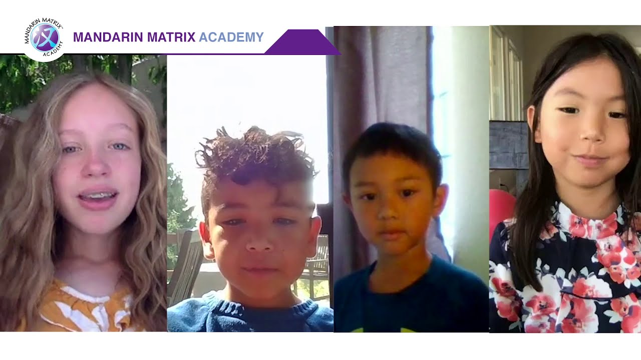 Mandarin Matrix Academy Introduction Youtube