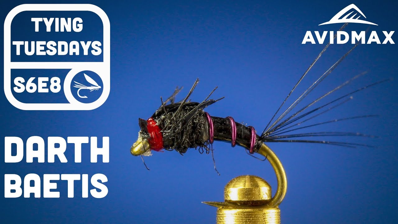 How To Tie The Darth Baetis Variation Avidmax Fly Tying Tuesday