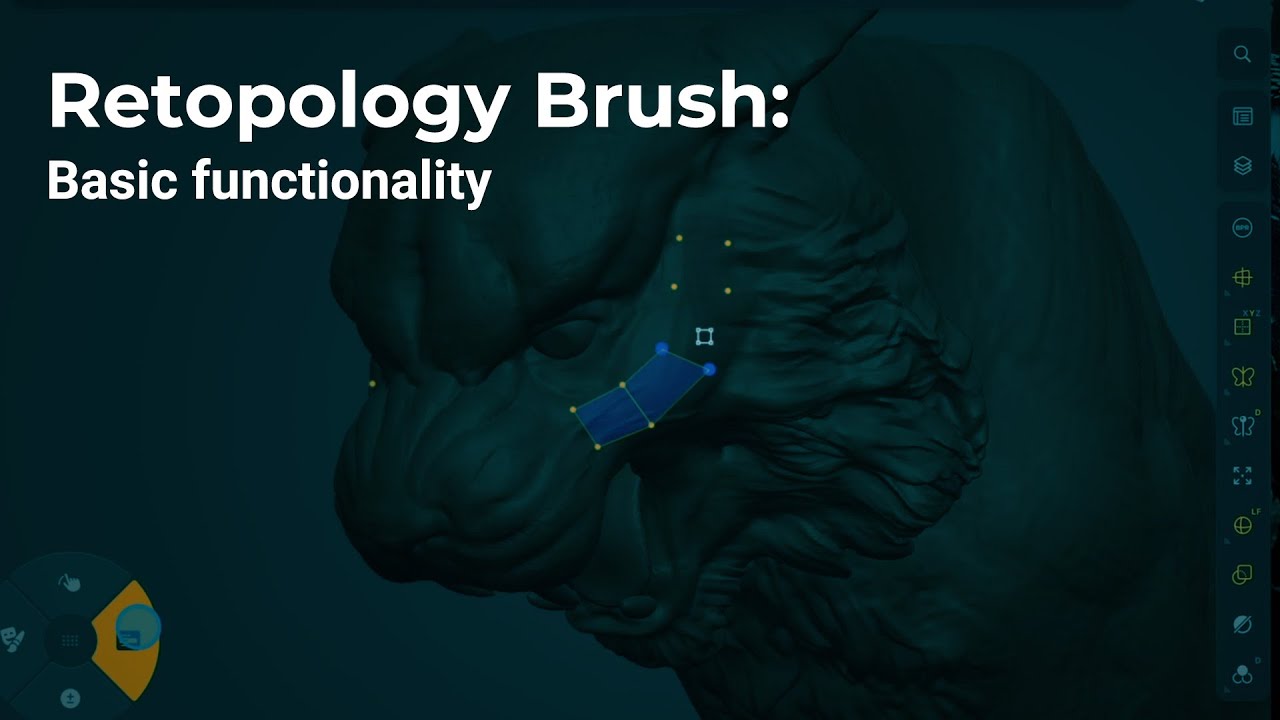 Getting Started With Zbrush For Ipad Retopology Brush Basic