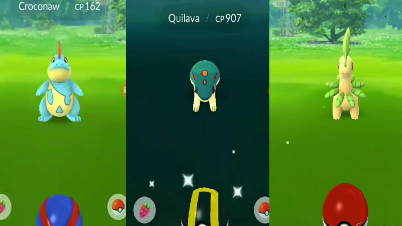 Quilava Moveset Gen 2