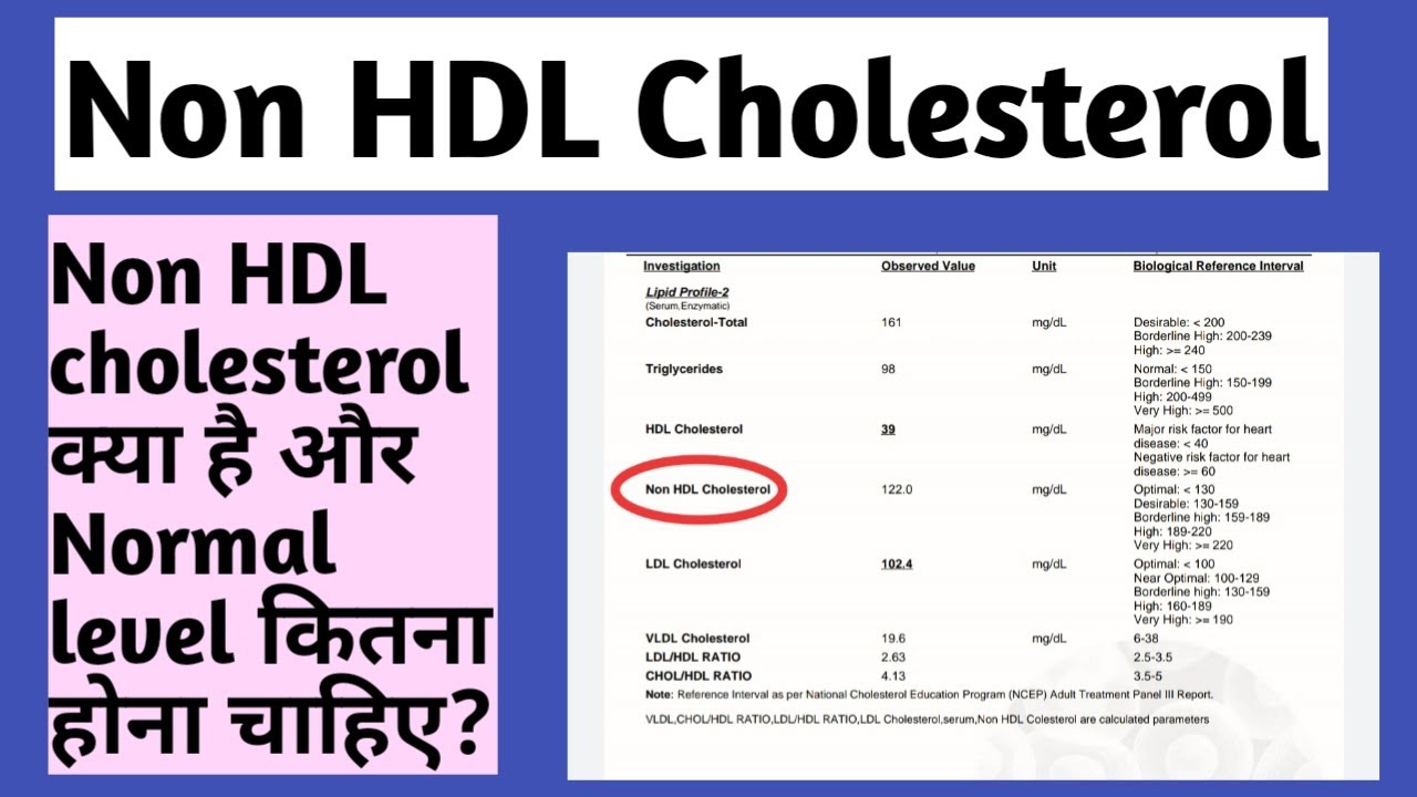 Hdl Blood Test Results Explained In Marathi Pdf Infoupdate Org