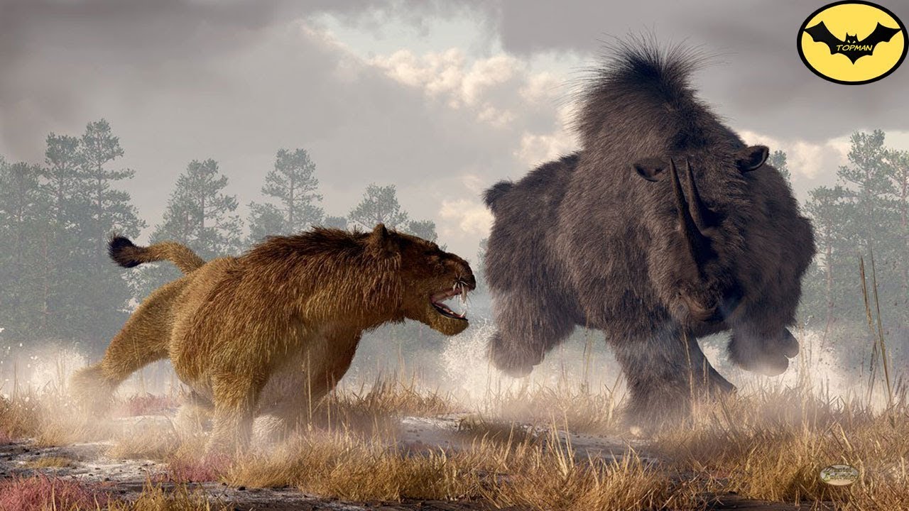 Prehistoric Predators Bear Dog