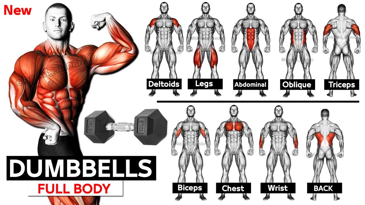 Full Body Workout With Dumbbells Leg Chest Triceps Biceps Back