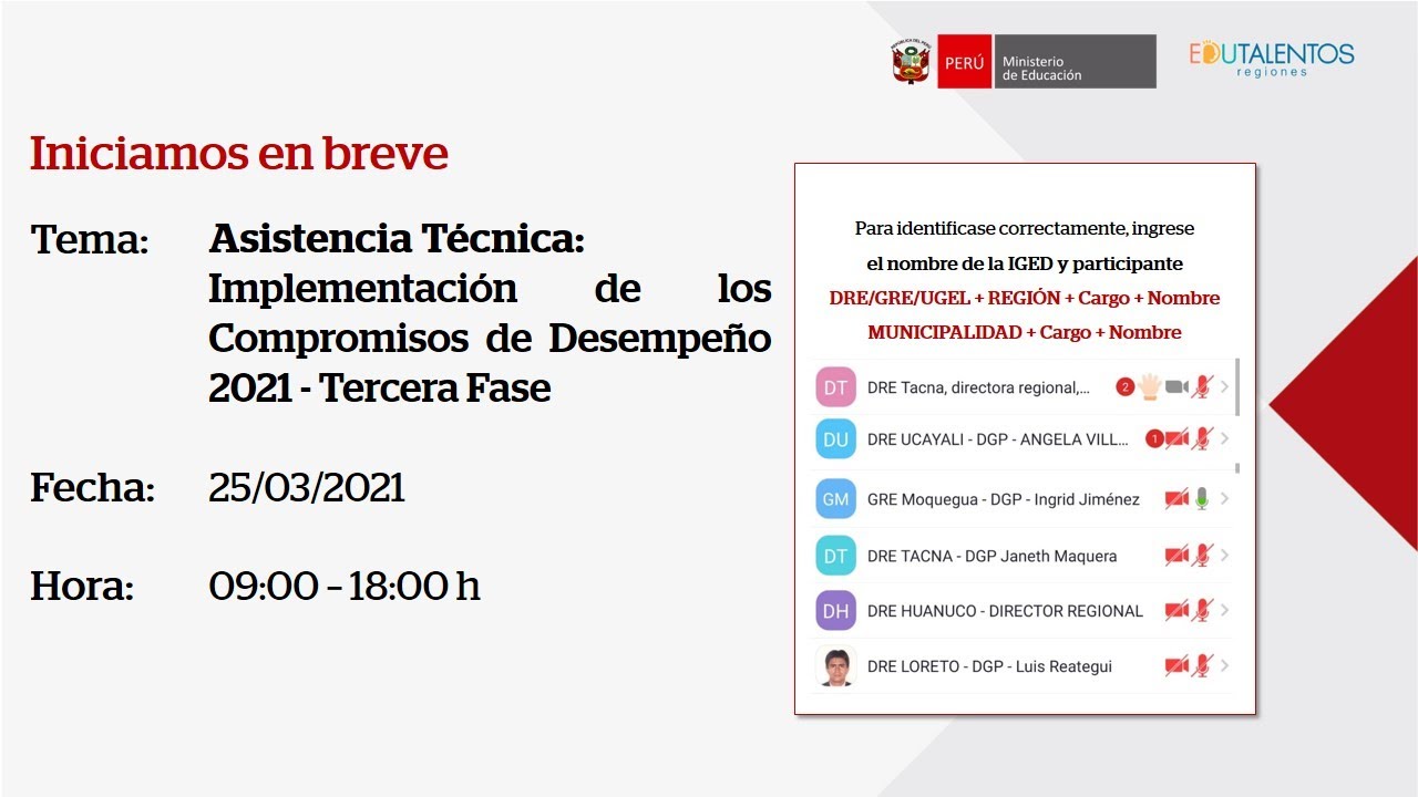 Asistencia Técnica Implementación De Los Compromisos De Desempeño 2021