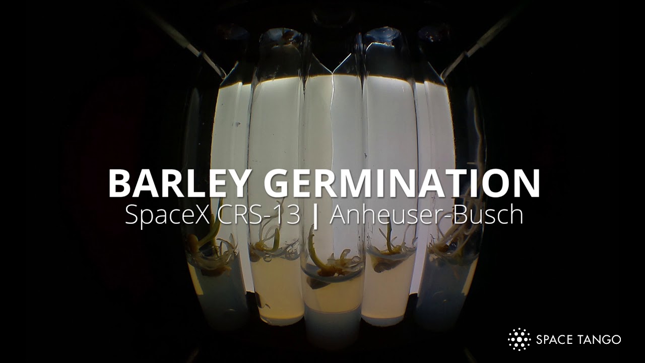 Barley Germination In Microgravity Youtube