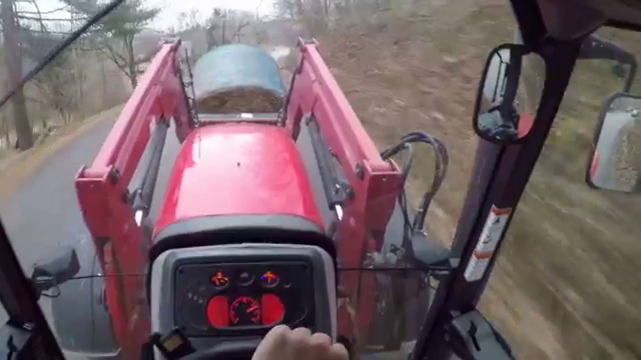 Feeding Cattle Youtube