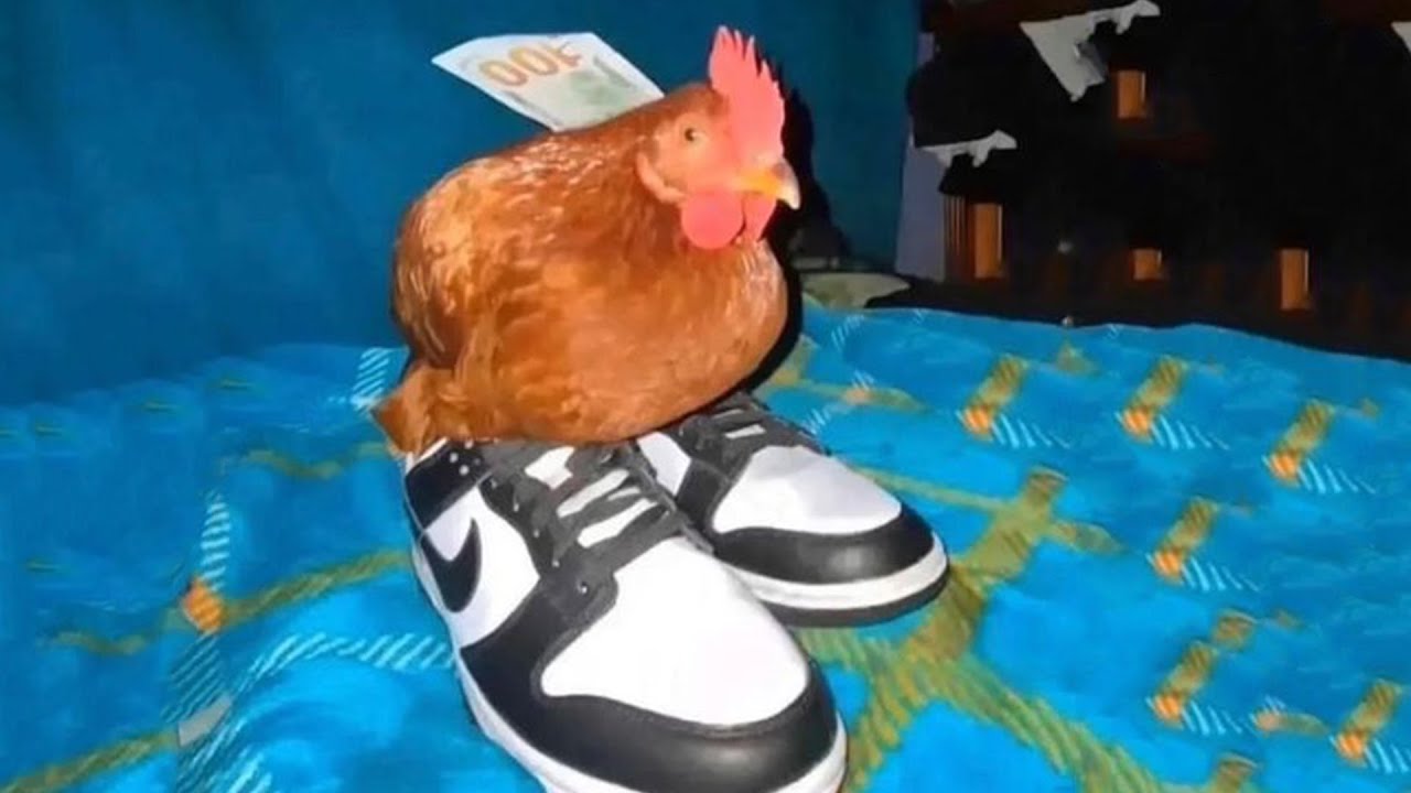 Best 2024 Memes Compilation Youtube