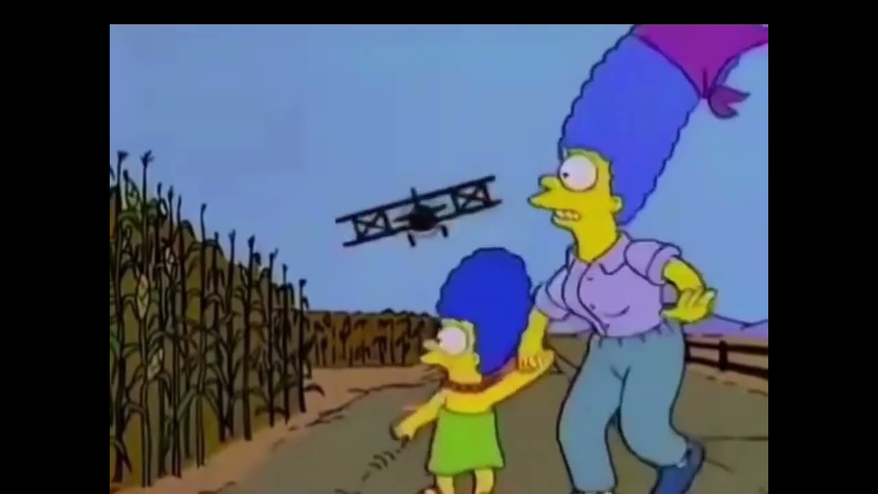 This Is What A Corn Field Look S Like Honey Youtube