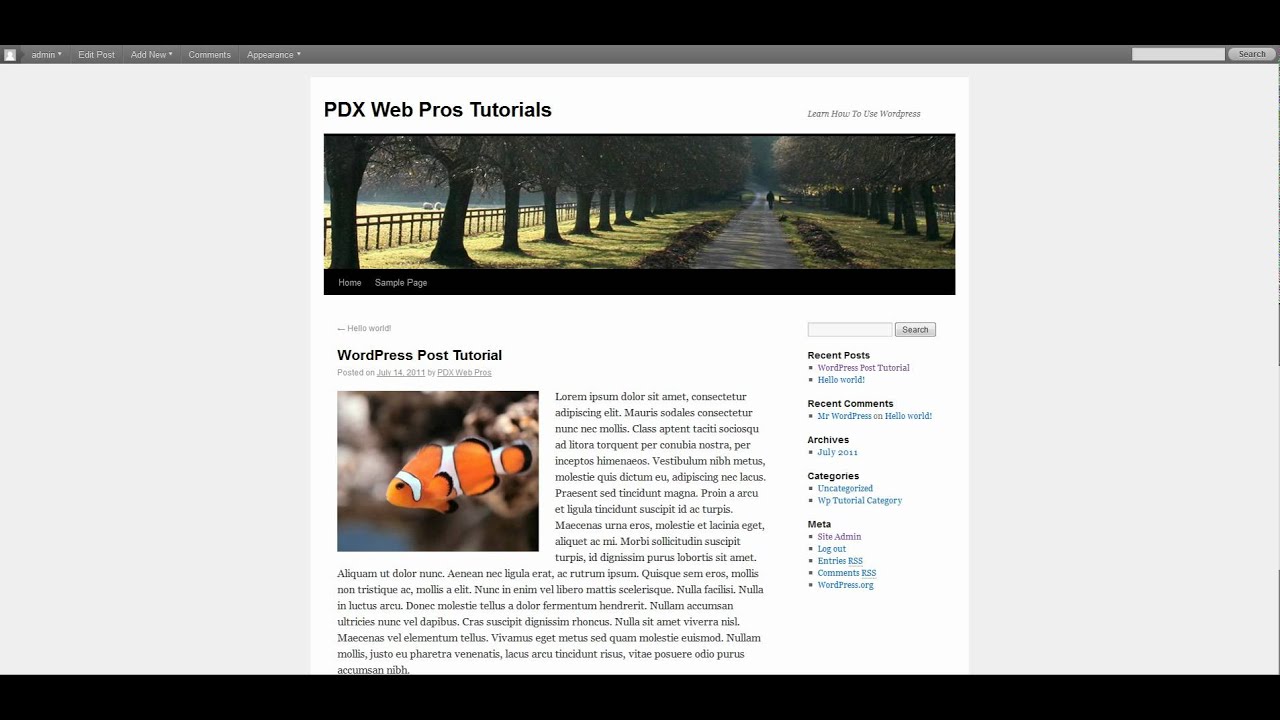 Wordpress Post Tutorial Youtube